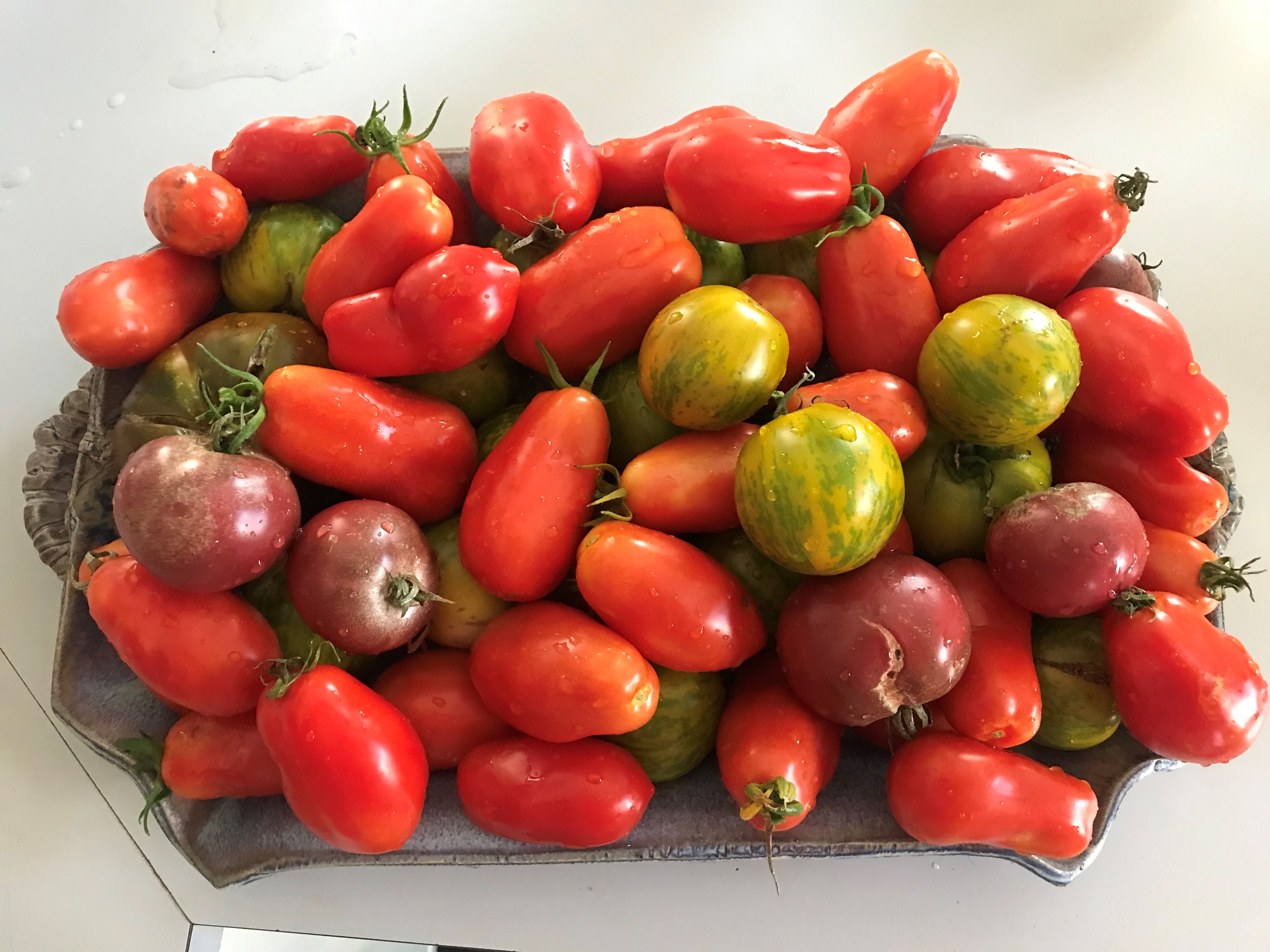 The Harvest of Learning – High Altitude Learning